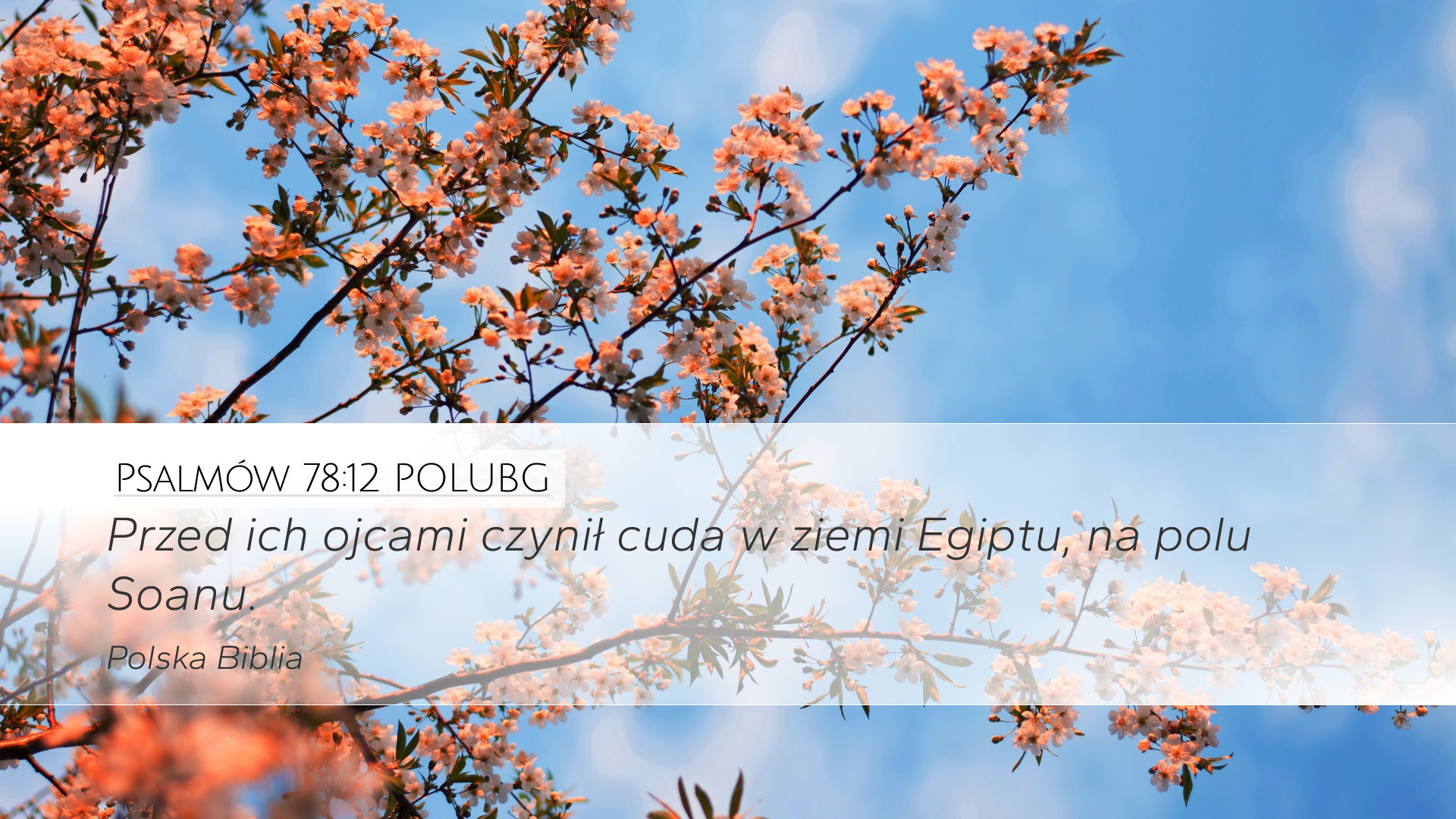 Psalmów 78:12 POLUBG Desktop Wallpaper - Przed ich ojcami czynił cuda w ...