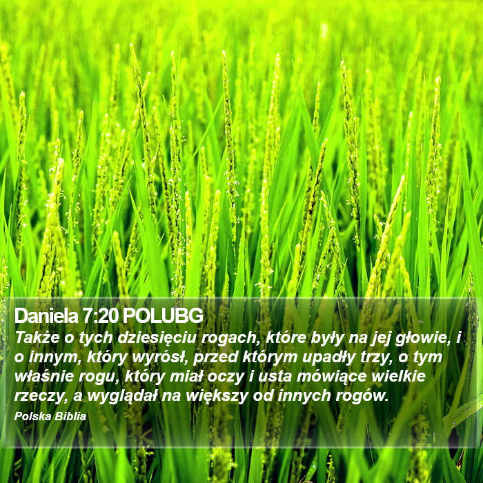Daniela 7:20 POLUBG - Także o tych dziesięciu rogach, które były na