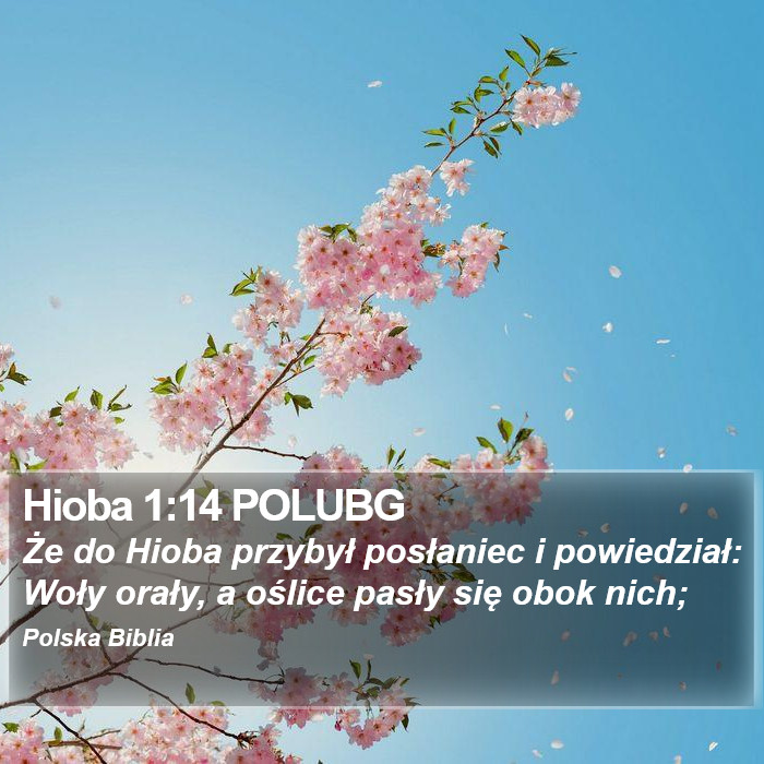 Hioba 1:14 POLUBG - Że do Hioba przybył posłaniec i powiedział:
