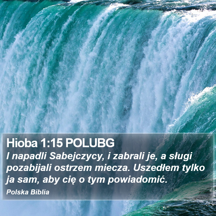 Hioba 1:15 POLUBG - I napadli Sabejczycy, i zabrali je, a sługi