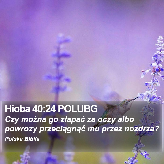 Hioba 40 Bible Images - Hioba Chapter 40 POLUBG Bible Verse Pictures