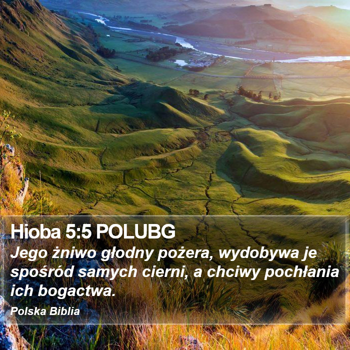 Hioba 5:5 POLUBG - Jego żniwo głodny pożera, wydobywa je