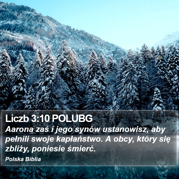 Liczb 3:10 POLUBG - Aarona zaś i jego synów ustanowisz, aby