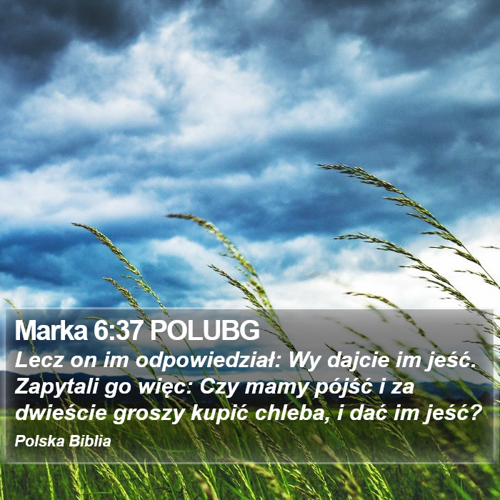 Marka 6:37 POLUBG - Lecz on im odpowiedział: Wy dajcie im jeść.