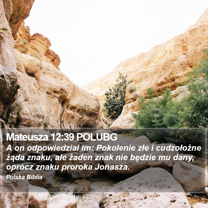 Mateusza 12:39 POLUBG - A on odpowiedział im: Pokolenie złe i