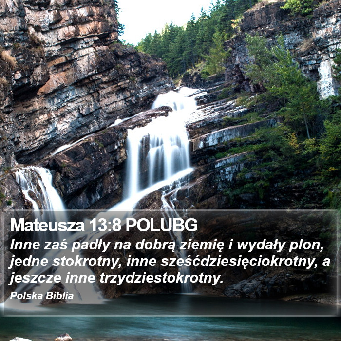 Mateusza 13:8 POLUBG - Inne zaś padły na dobrą ziemię i wydały