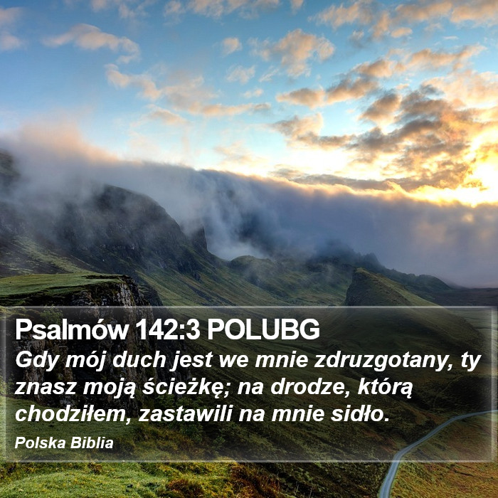 Psalmów 142:3 POLUBG - Gdy mój duch jest we mnie zdruzgotany, ty znasz