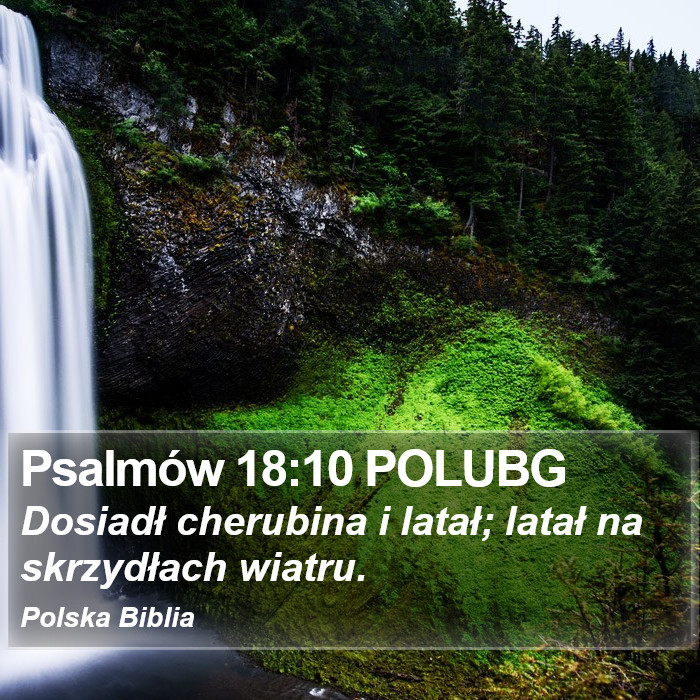 Psalmów 18:10 POLUBG - Dosiadł cherubina i latał; latał na