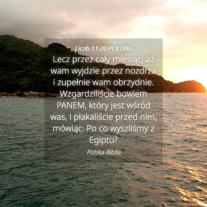Liczb 11:20 POLUBG - Lecz przez cały miesiąc, aż wam wyjdzie przez